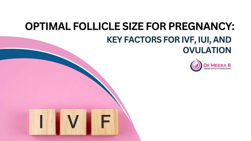 Optimal Follicle Size for Fertilization: Key Factors for Ovulation, IVF ...