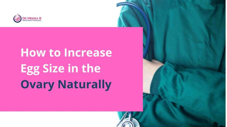 How to Increase Egg Size in the Ovary Naturally - Dr Meera B