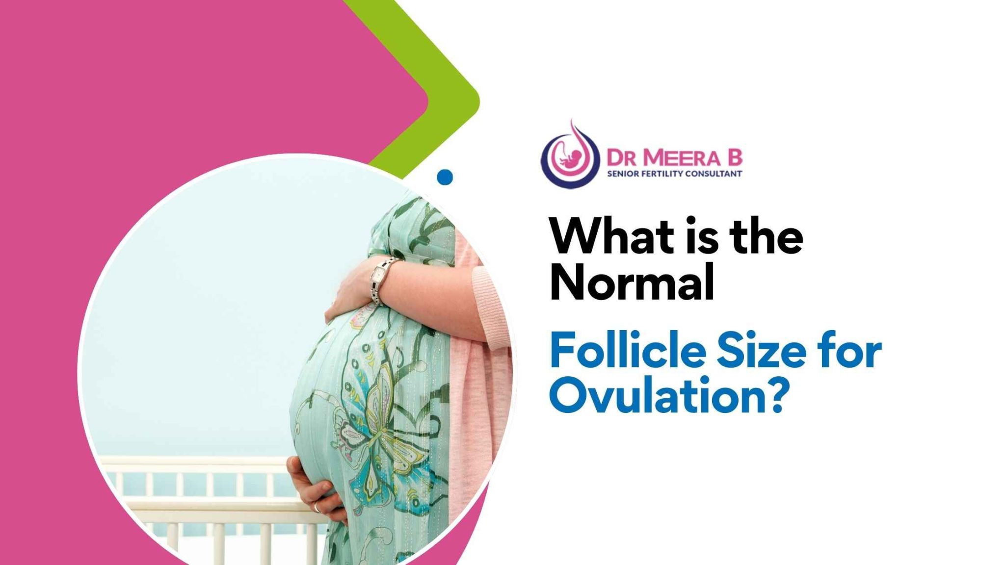 Normal Follicle Size for Ovulation