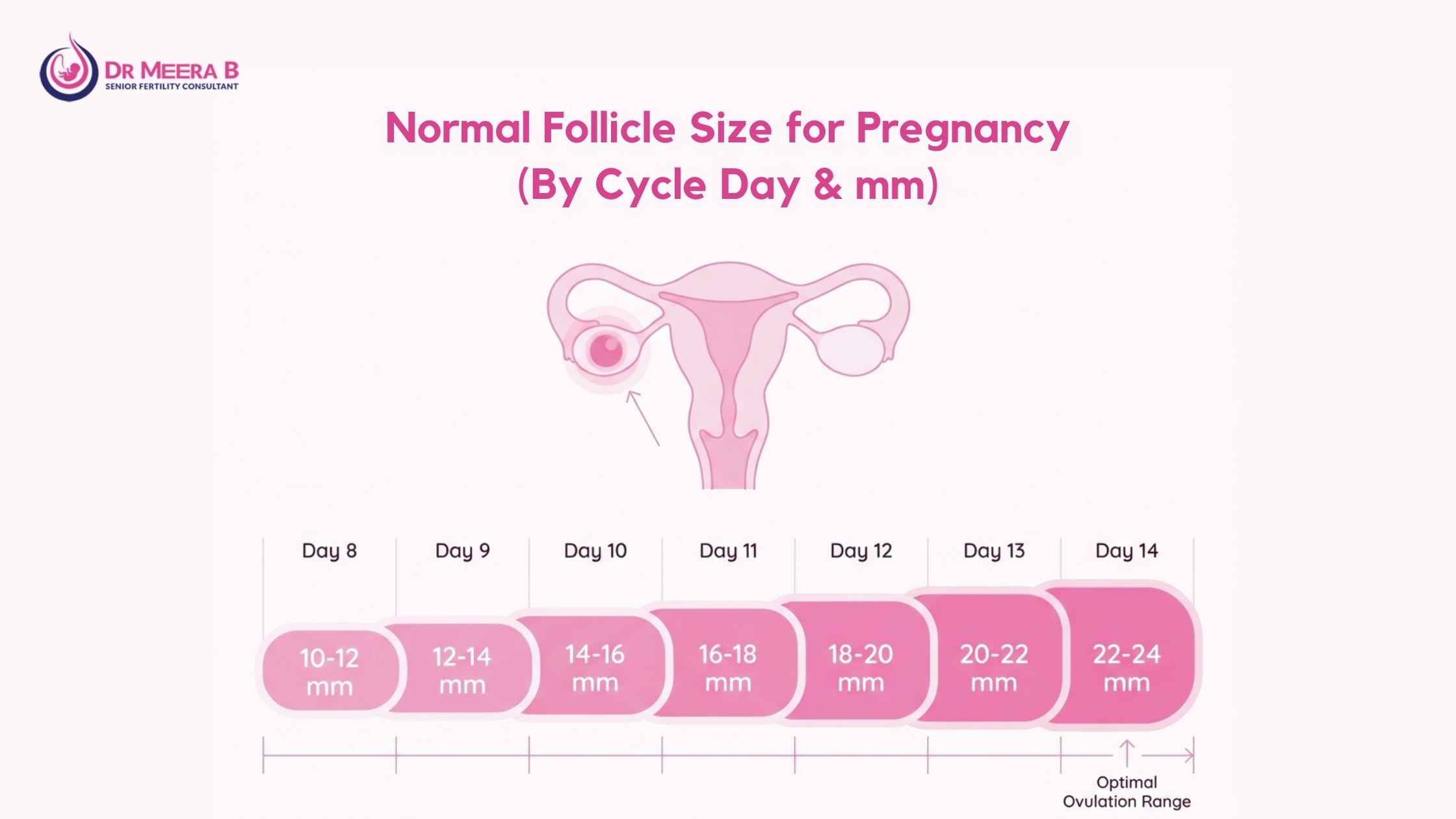 Ideal Follicle Size for Pregnancy | Dr. Meera B