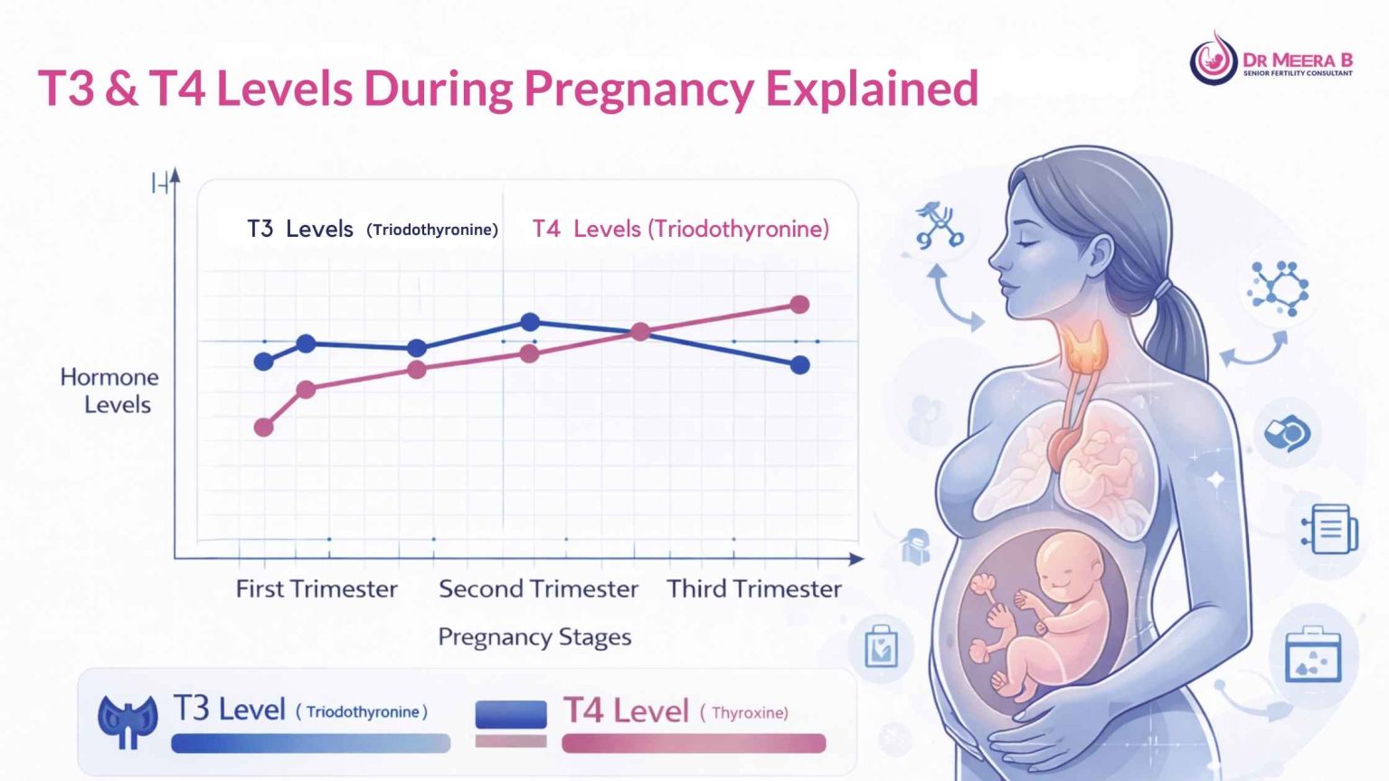 T3 & T4 Levels in Pregnancy — Complete Guide | Dr Meera B