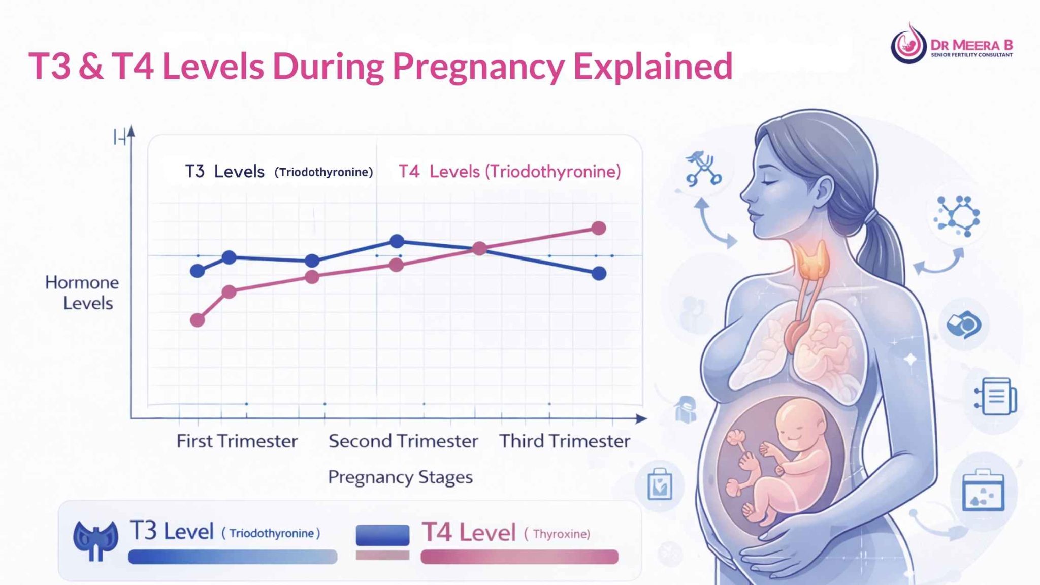T3 & T4 Levels in Pregnancy — Complete Guide | Dr Meera B