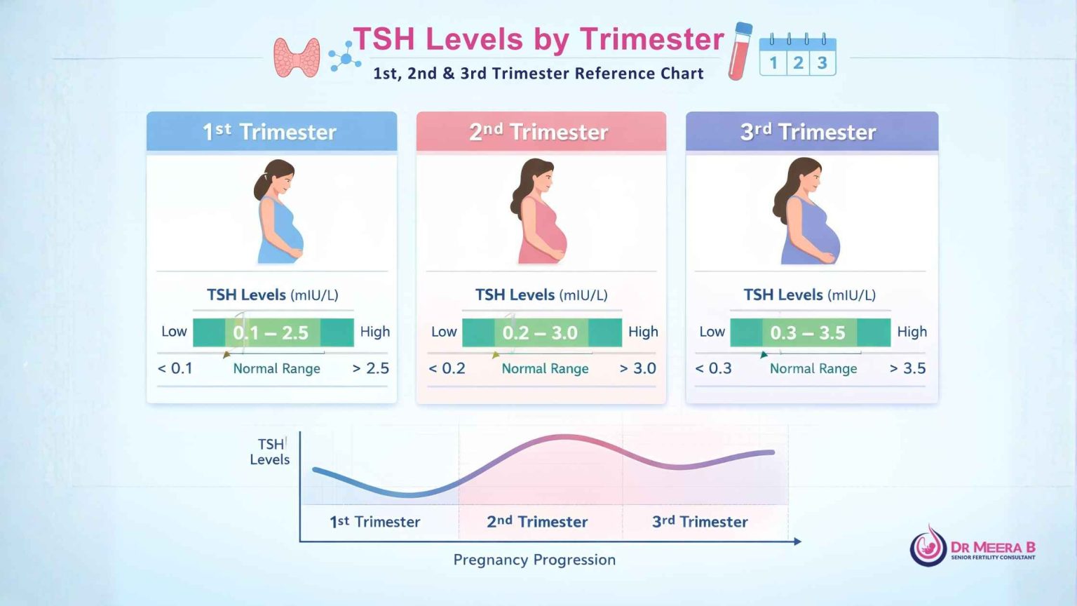 TSH Levels in Each Trimester — Chart & Guide | Dr Meera B